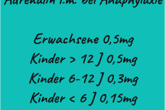 Contusio und Commotio cordis - Herzschmerz mal anders - pin-up-docs ...