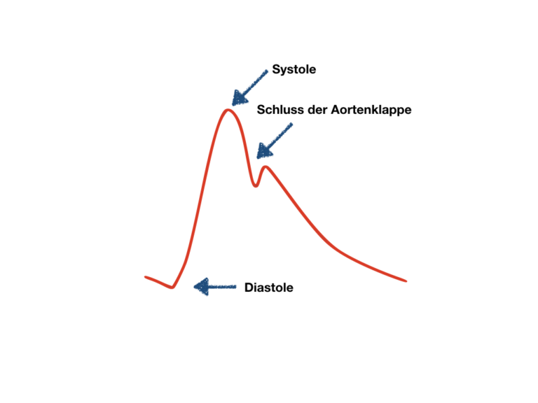 Basics - Blutdruckmessung - pin-up-docs - don't panic