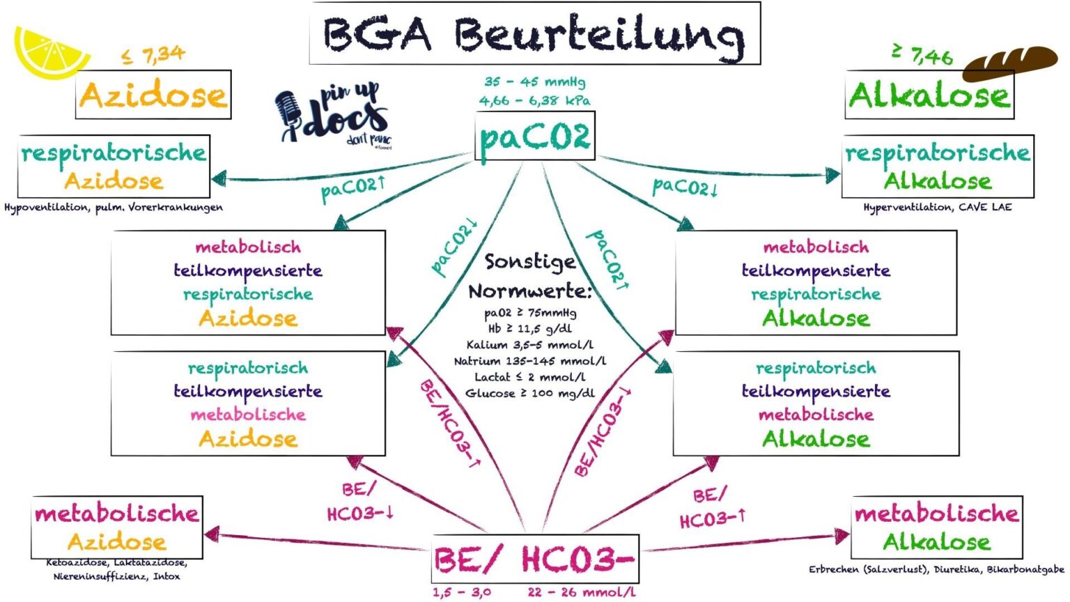 Die Blutgasanalyse - pin-up-docs - don't panic