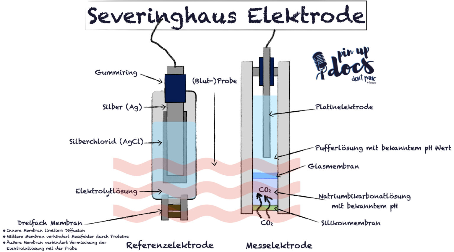 Die Blutgasanalyse - pin-up-docs - don't panic