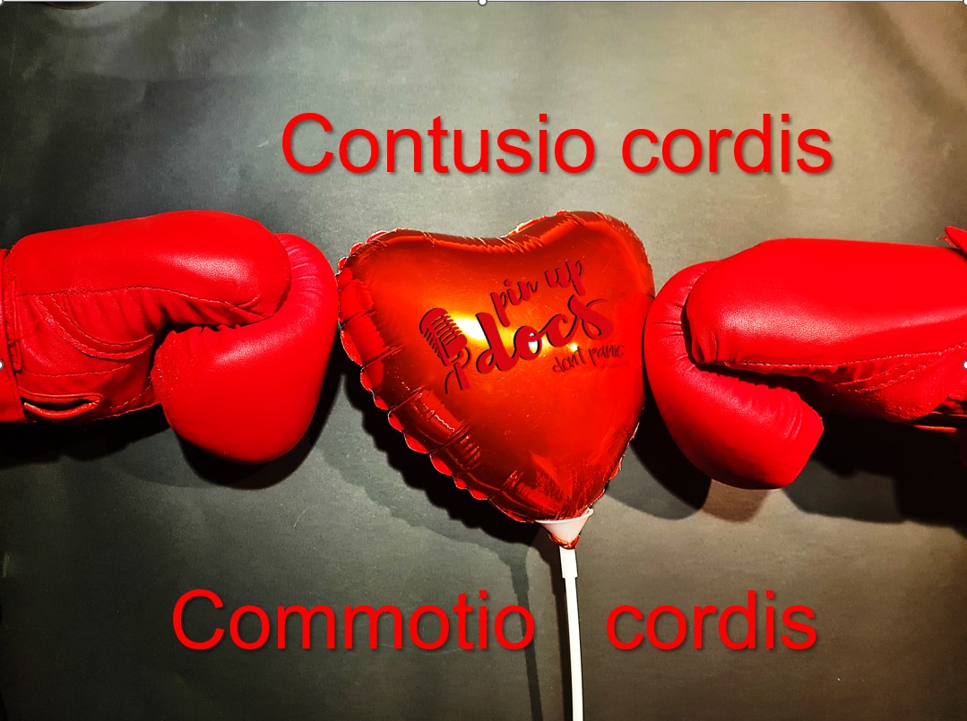 Contusio und Commotio cordis - Herzschmerz mal anders - pin-up-docs ...